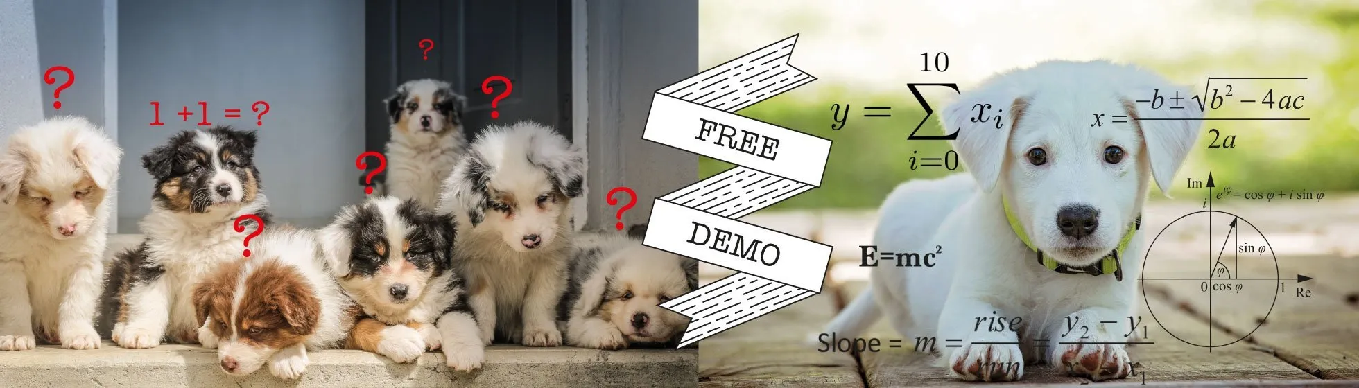 Learn Clicker Training by Training Your (Human) Friends